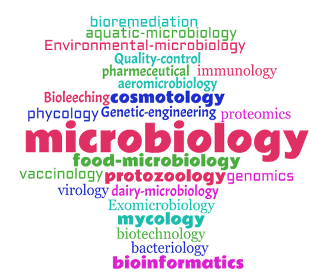 The Oxford College of Science
